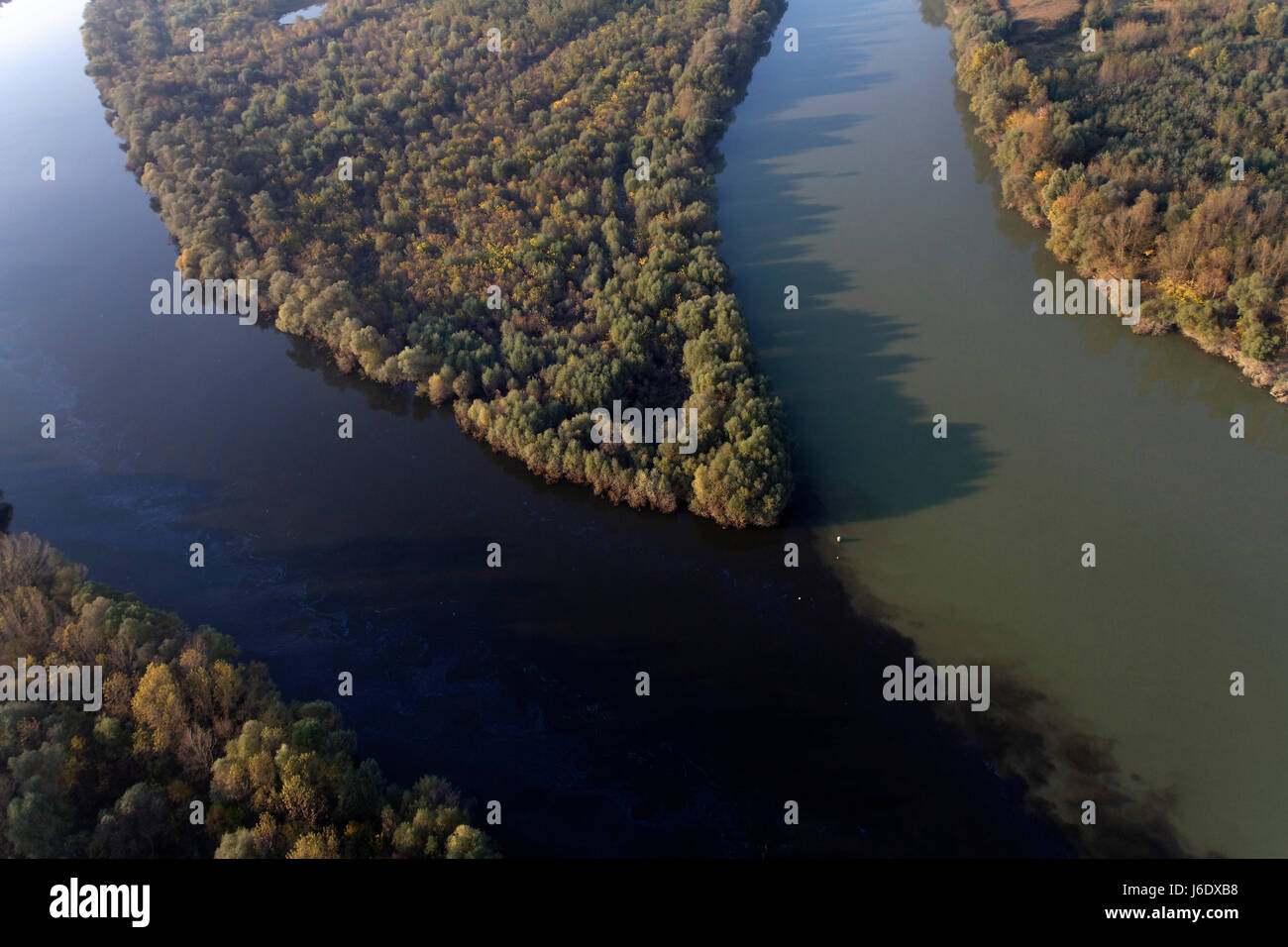 The confluence of the Sava and Kupa rivers Stock Photo - Alamy