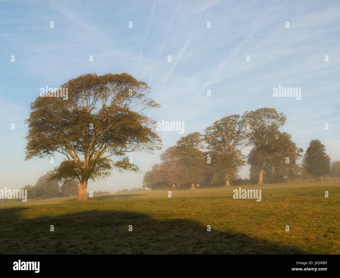 Countryside, Co. Meath, Ireland Stock Photo - Alamy