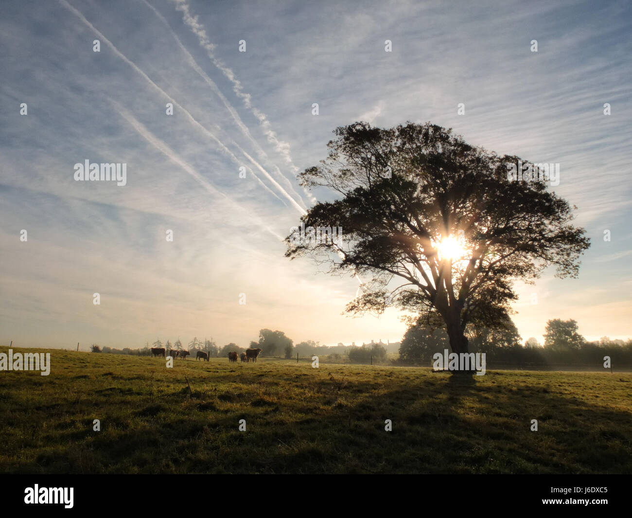 Countryside, Co. Meath, Ireland Stock Photo - Alamy