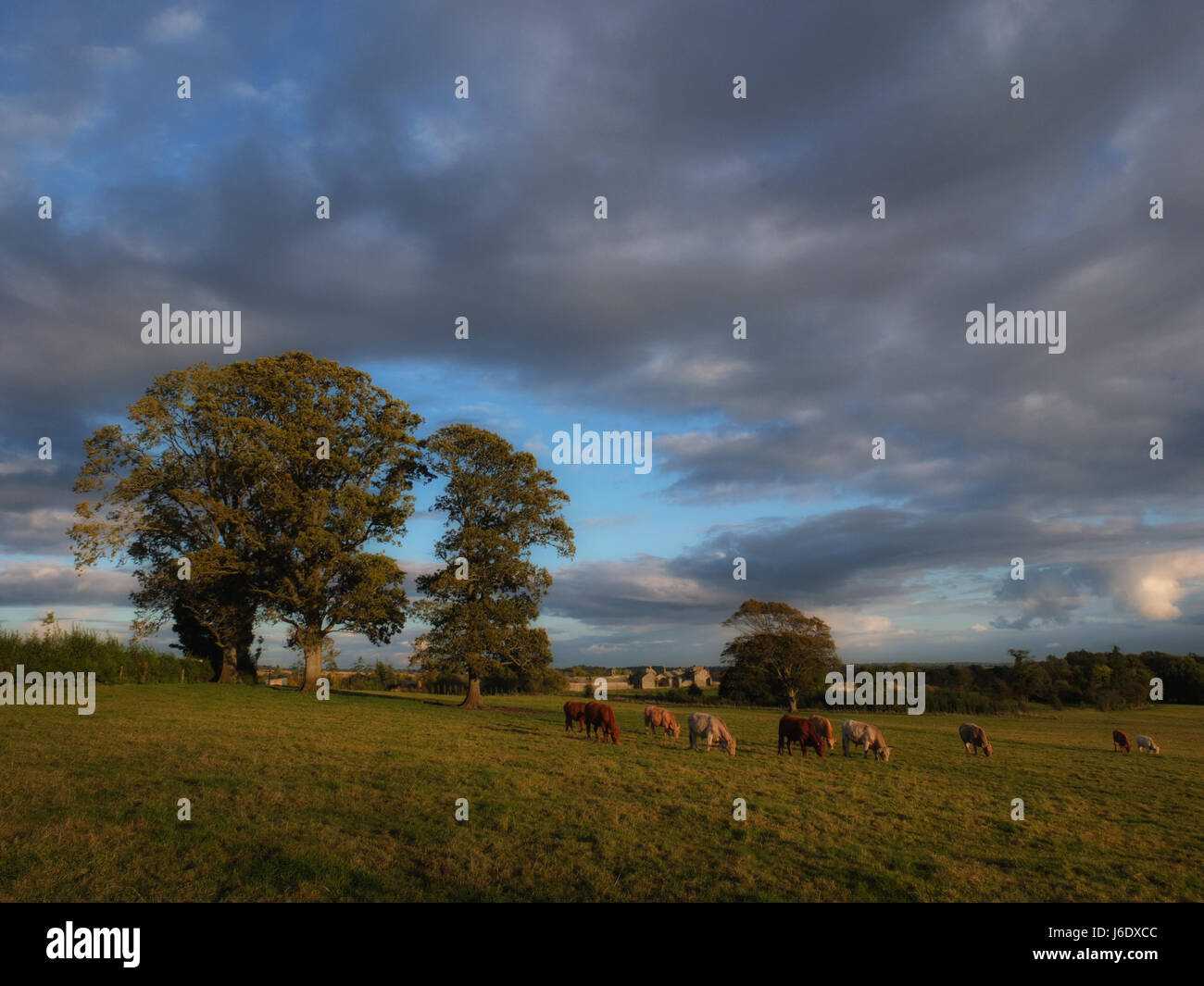 Countryside, Co. Meath, Ireland Stock Photo - Alamy