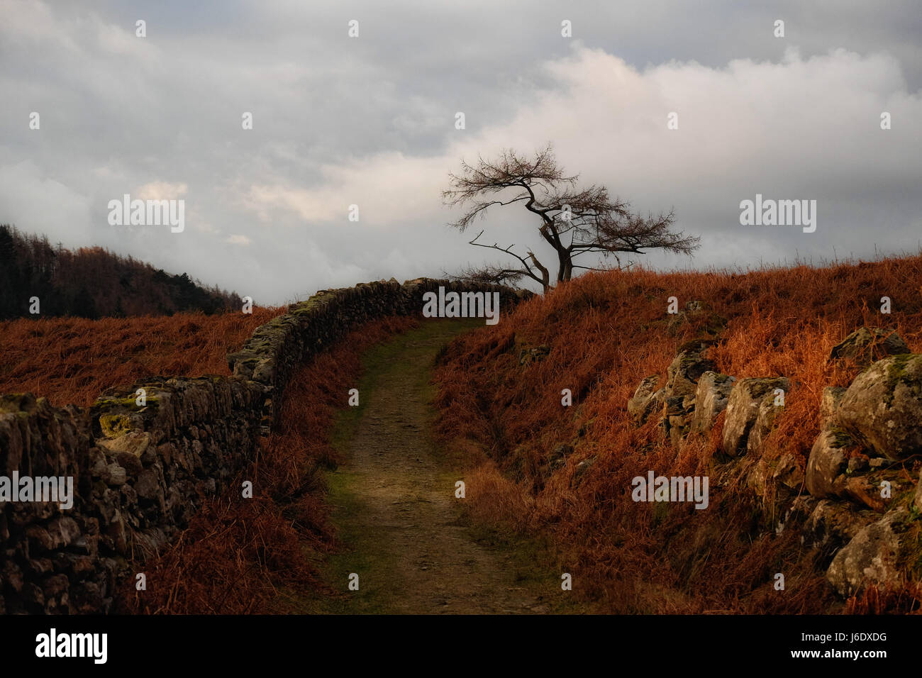 Luggala Valley, Co. Wicklow, Ireland Stock Photo - Alamy