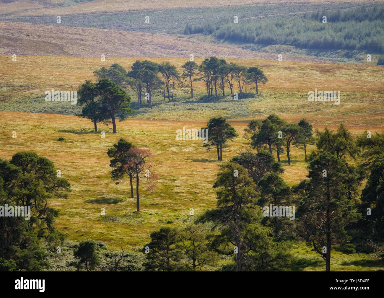 Wicklow mountains, Co. Wicklow, Ireland Stock Photo - Alamy