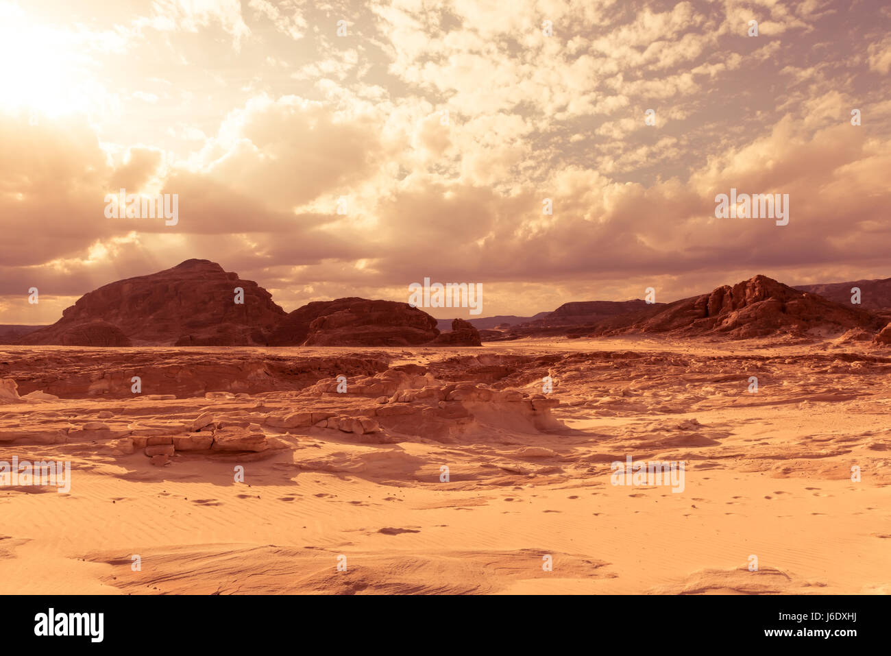 Panorama Sand desert Sinai, Egypt, Africa Stock Photo - Alamy