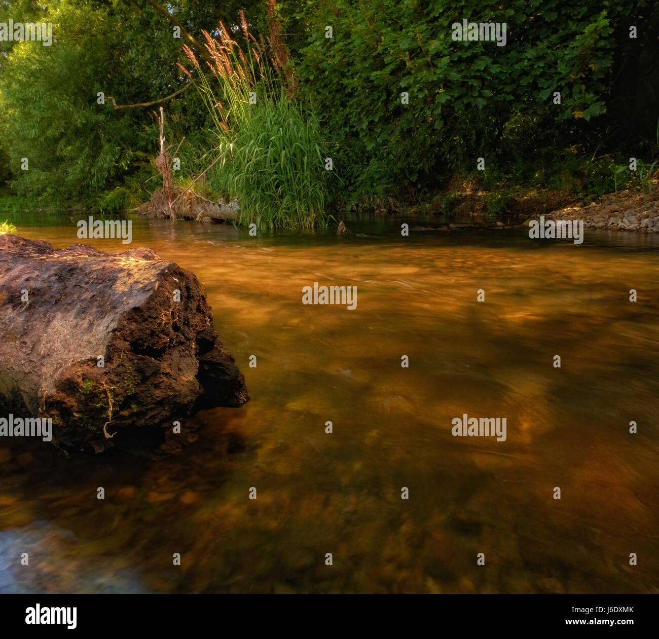Small river, Midlands, Co. Meath, Ireland Stock Photo - Alamy