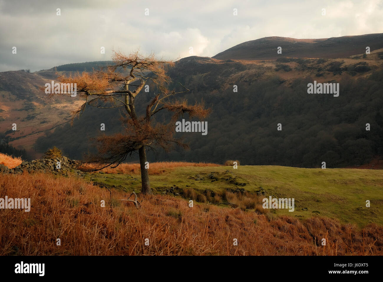 Luggala Valley, Co. Wicklow, Ireland Stock Photo - Alamy