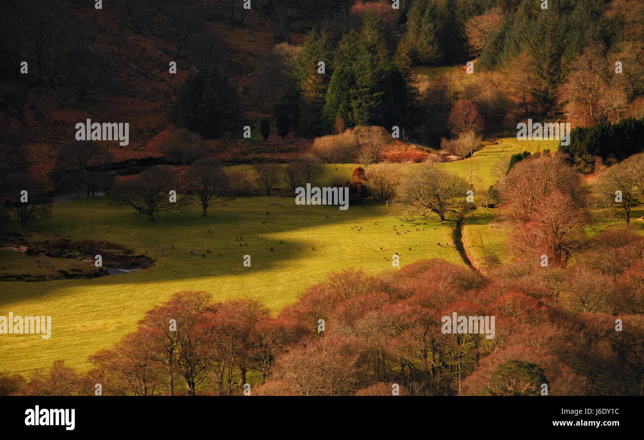 Luggala Valley, Co. Wicklow, Ireland Stock Photo - Alamy
