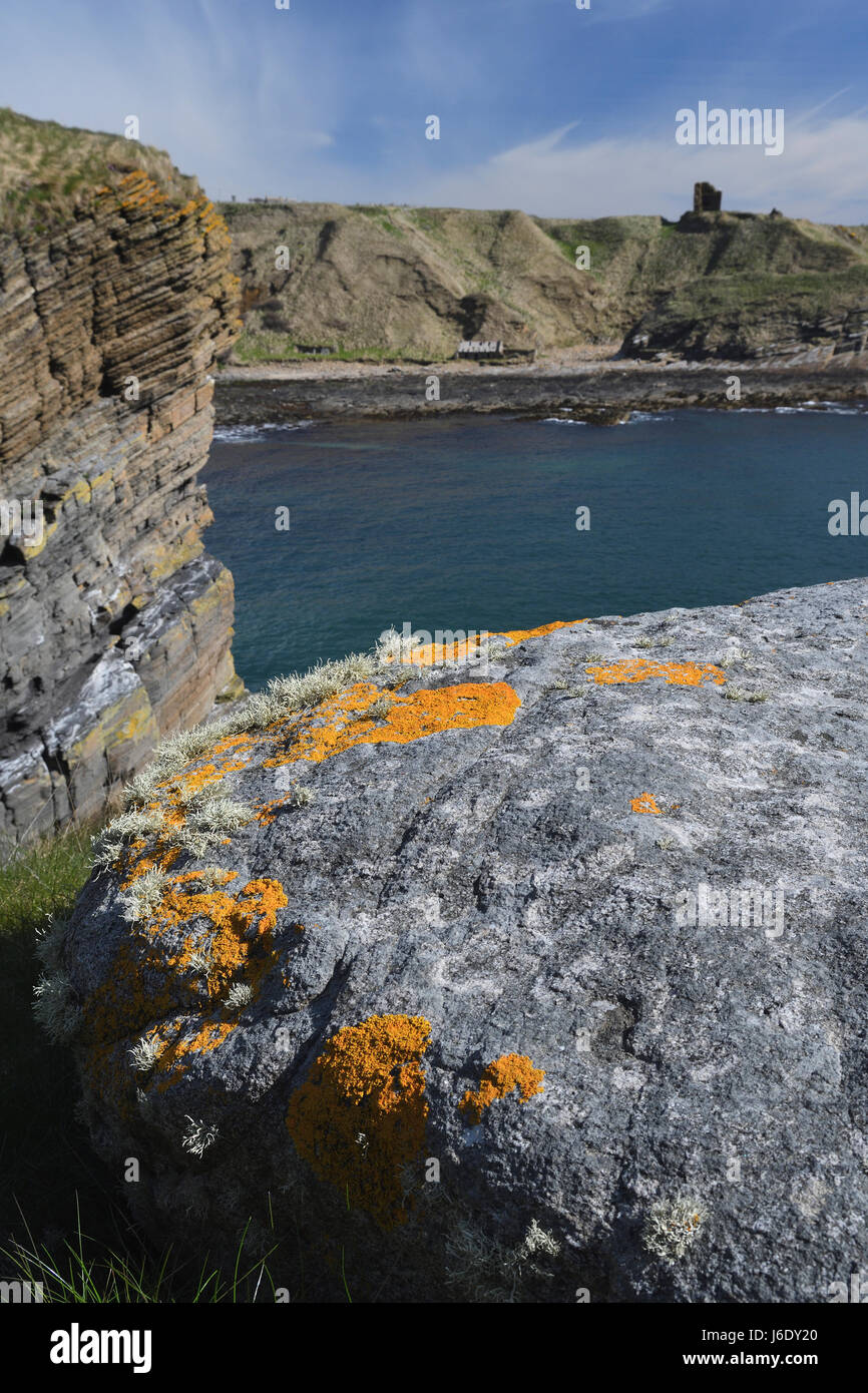 Latheron hi-res stock photography and images - Alamy