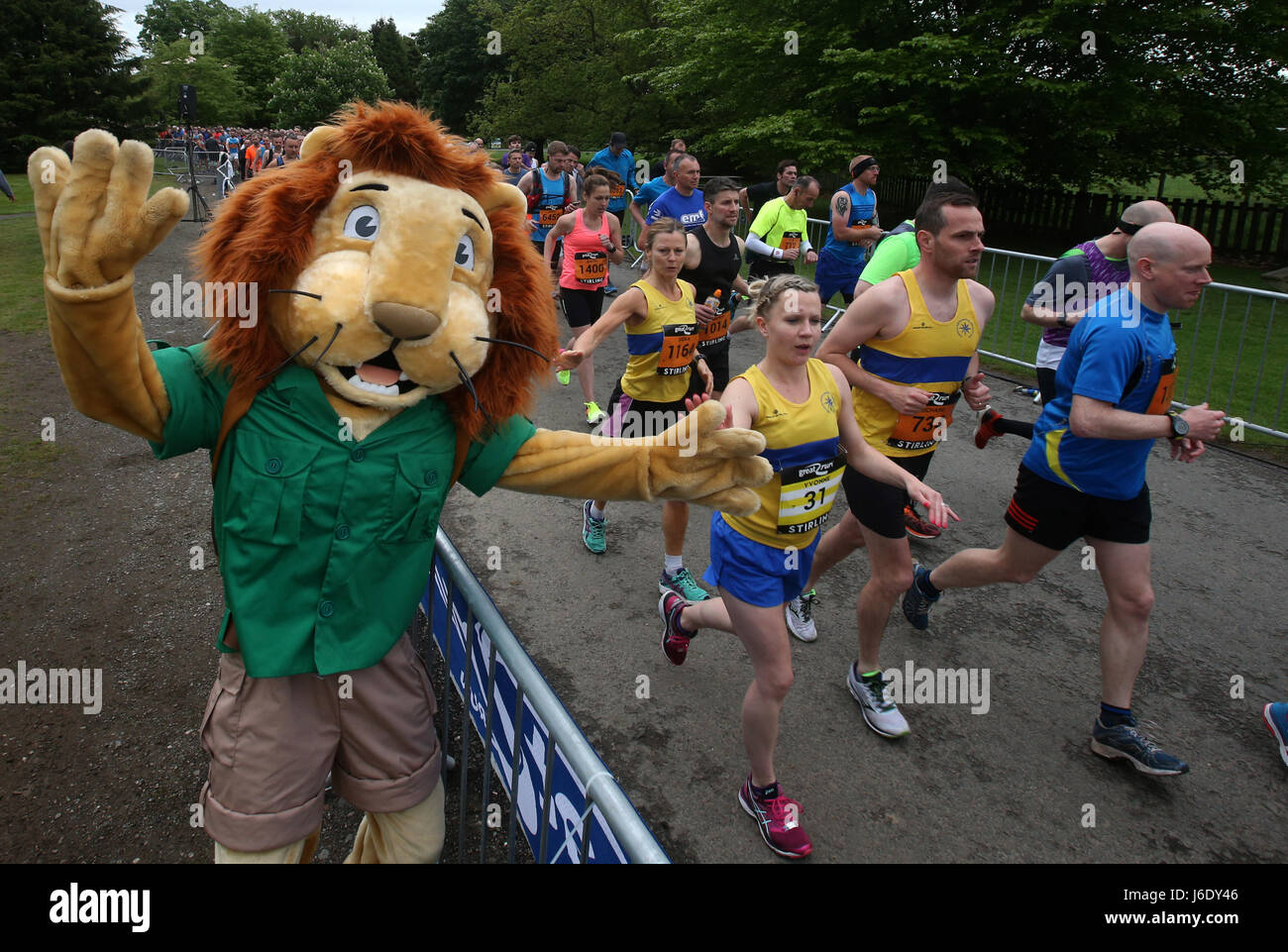 A safaria park mascot greets runners taking part in the first ever ...