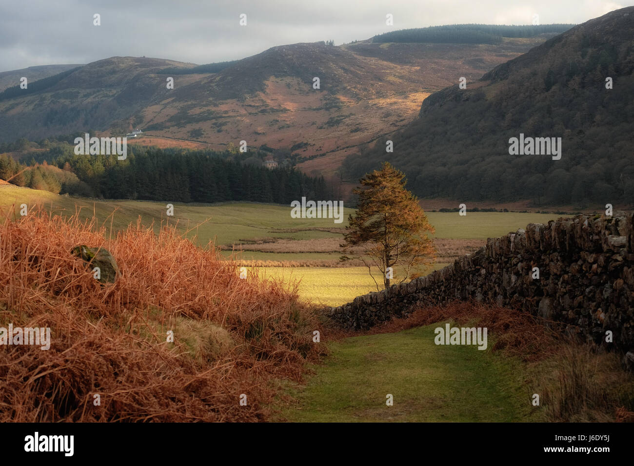 Luggala Valley, Co. Wicklow, Ireland Stock Photo - Alamy