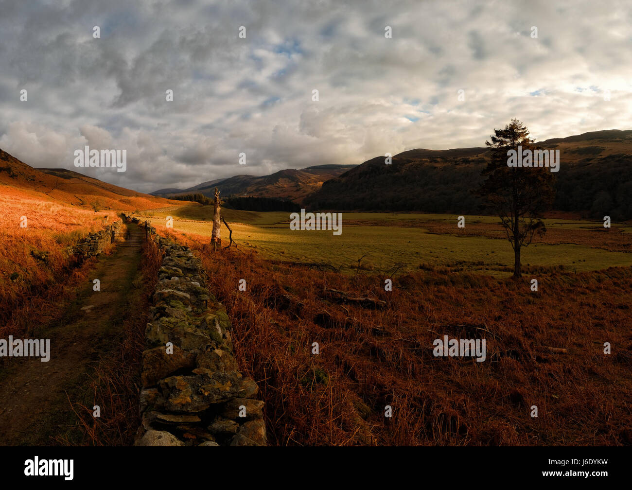 Wicklow mpuntains hi-res stock photography and images - Alamy