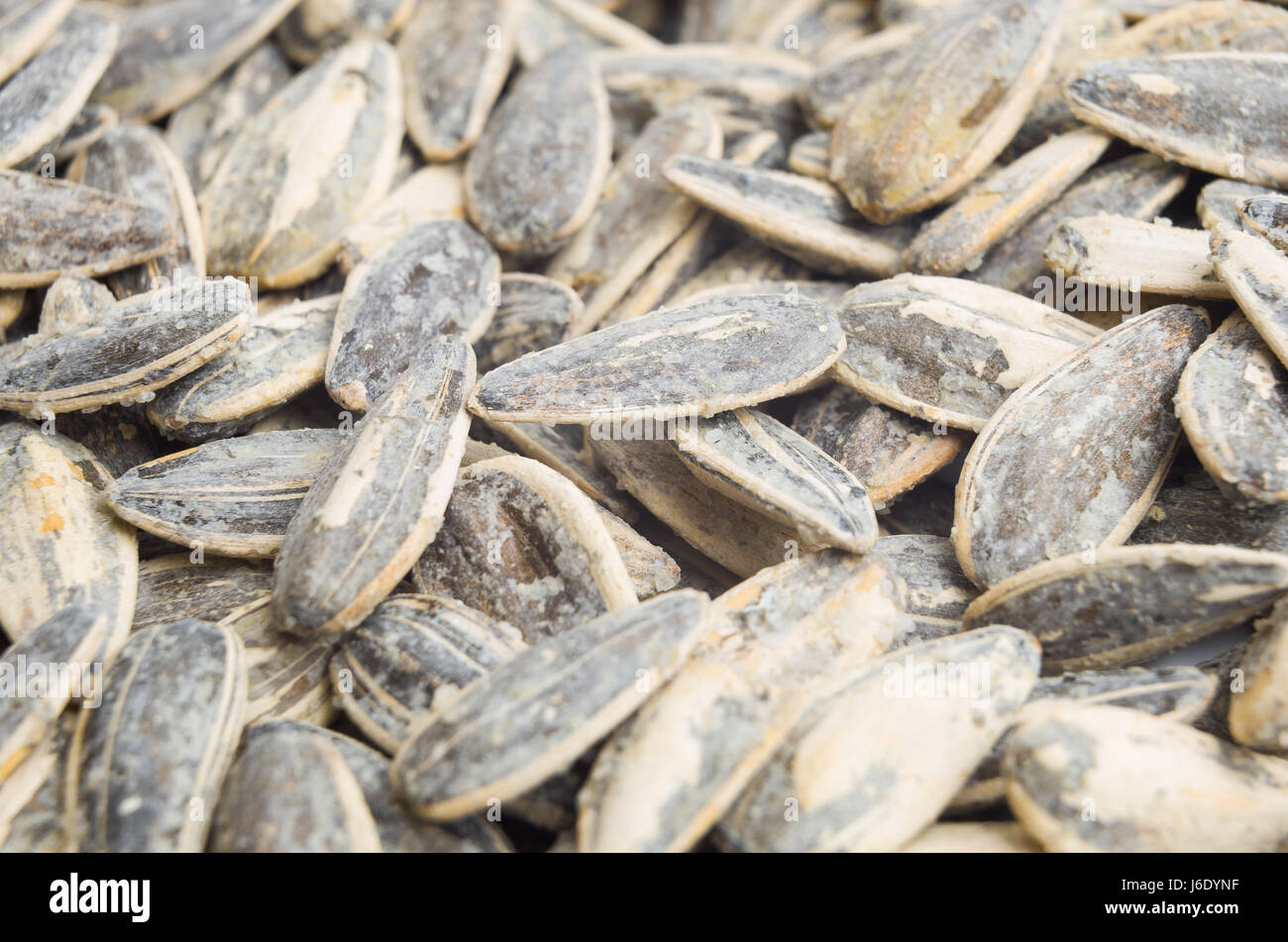 Sunflowers seeds hi-res stock photography and images - Alamy