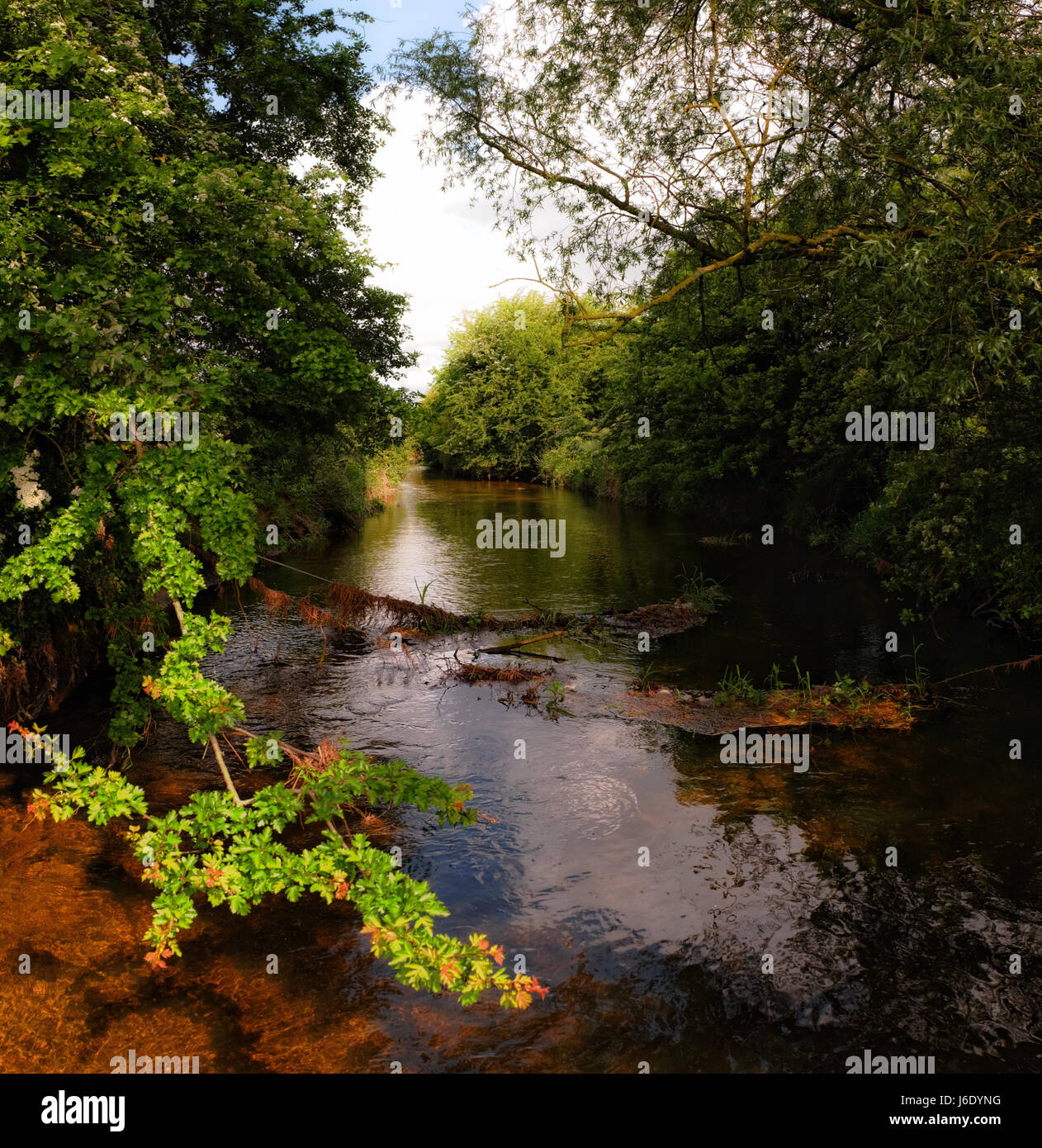 Small river, Midlands, Co. Meath, Ireland Stock Photo - Alamy