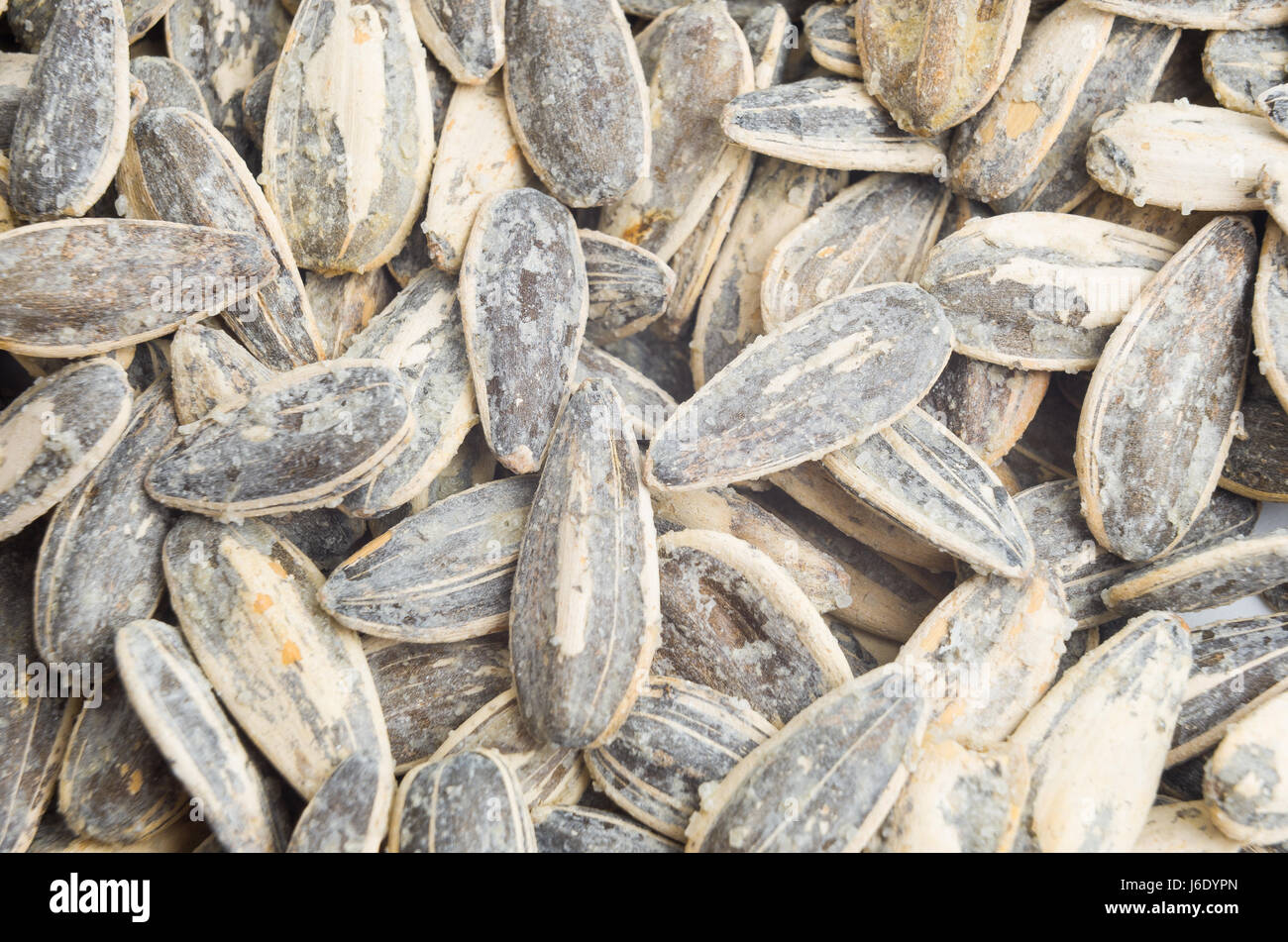 Seeds and shells hi-res stock photography and images - Alamy