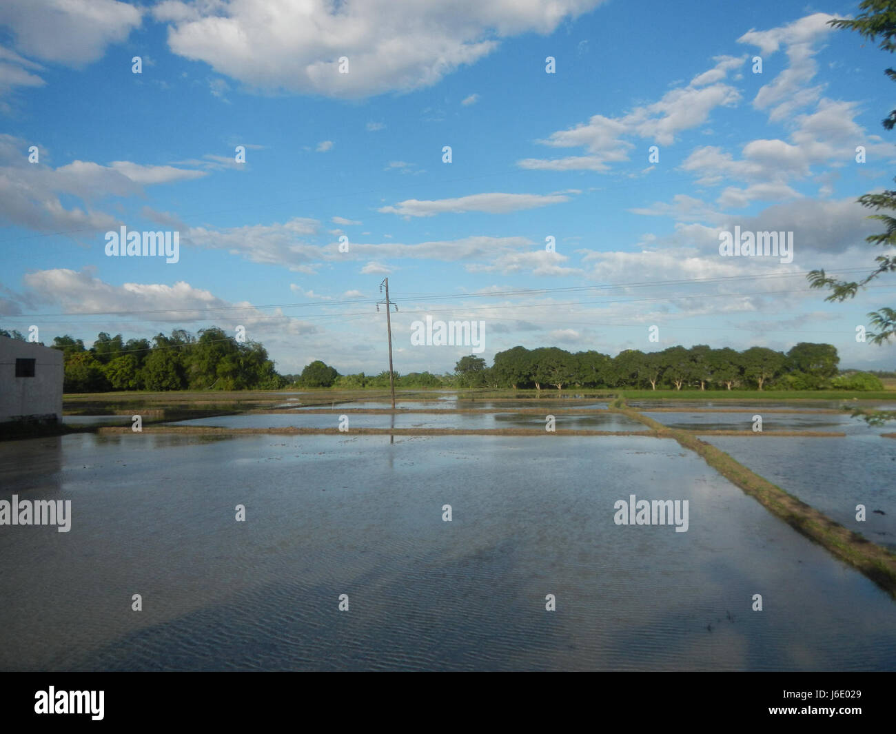 This image captures paddy fields in Parcutela, Gapan City, along with a ...