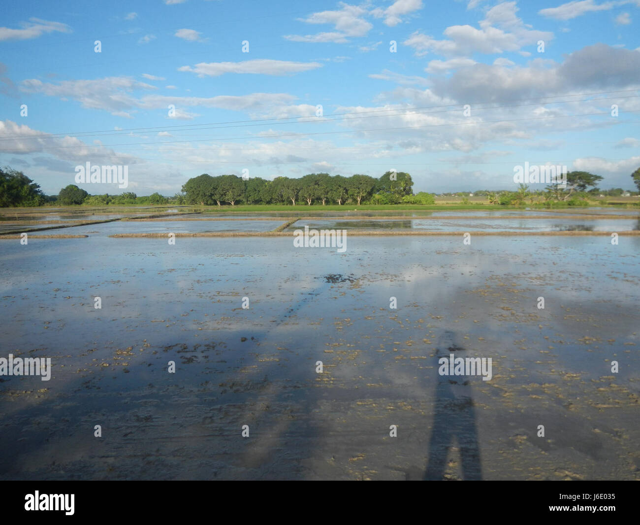 This image likely depicts the rural landscapes of Gapan City, Nueva ...