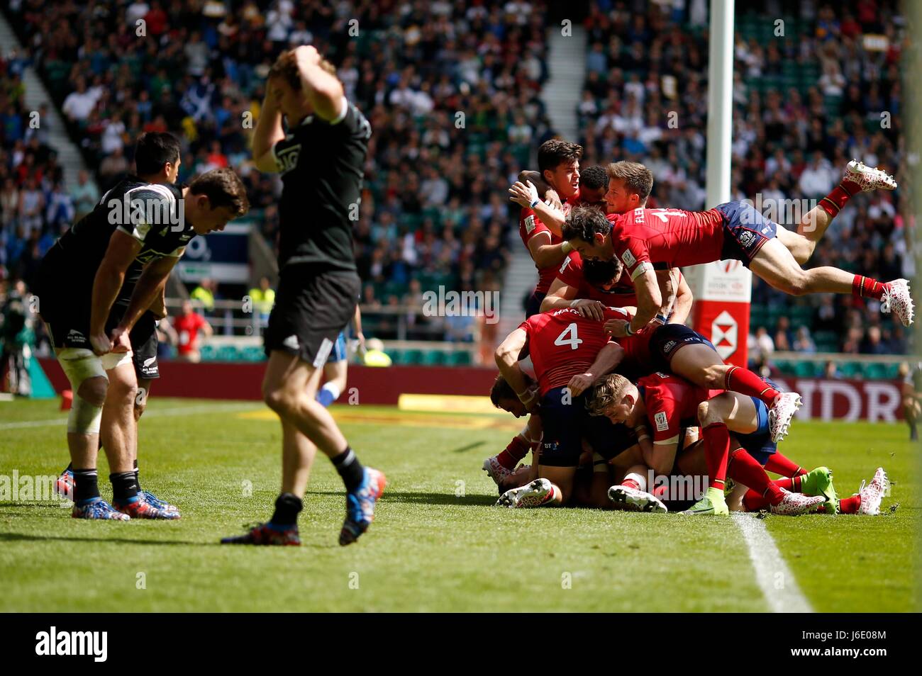 Scotland's Jamie Farndale celebrates scoring their fourth try against ...