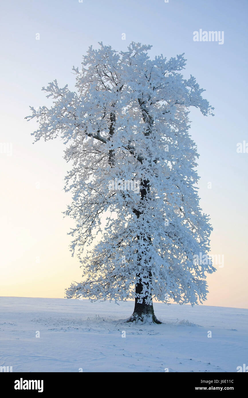 The snow queen hi-res stock photography and images - Alamy