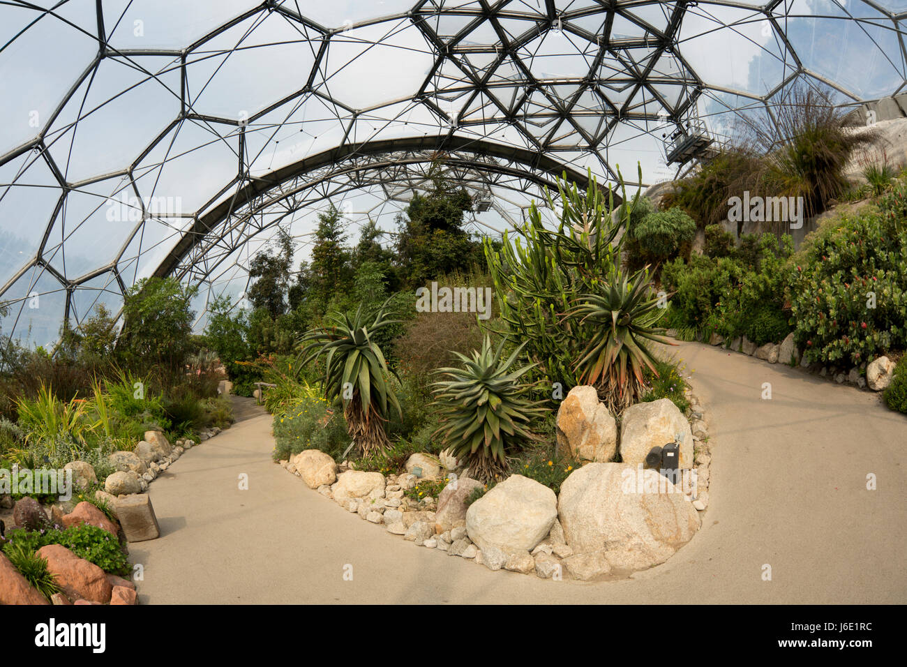 Eden project cornwall interior hi-res stock photography and images - Alamy