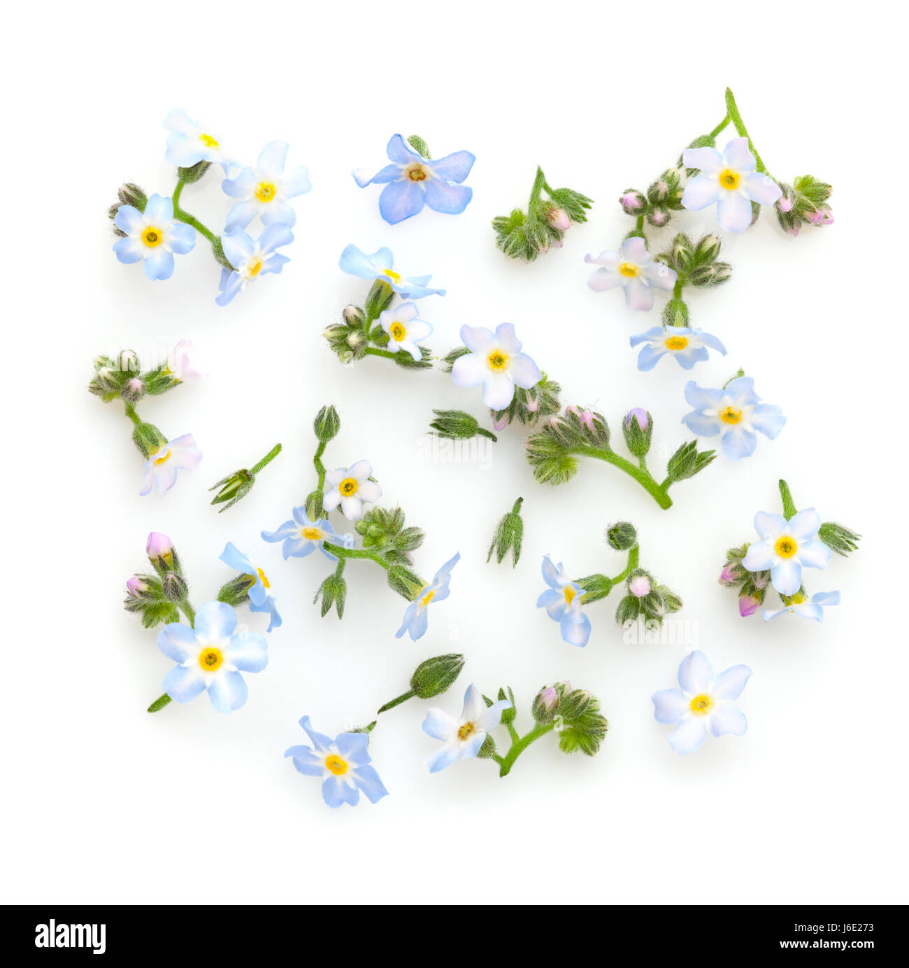 Flat lay table on Cut Out Stock Images & Pictures - Alamy