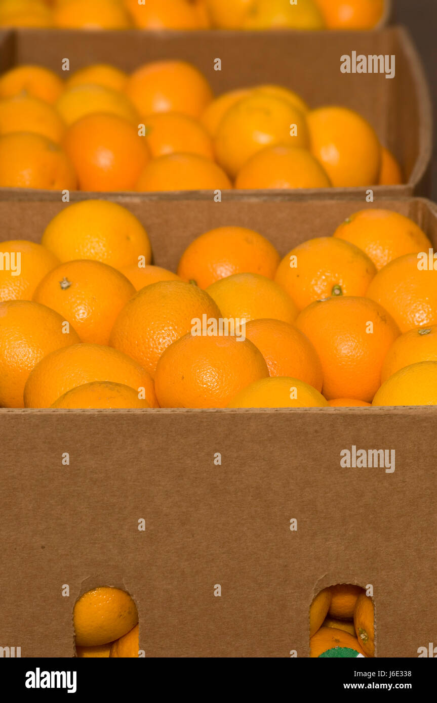 Chest stall hi-res stock photography and images - Alamy