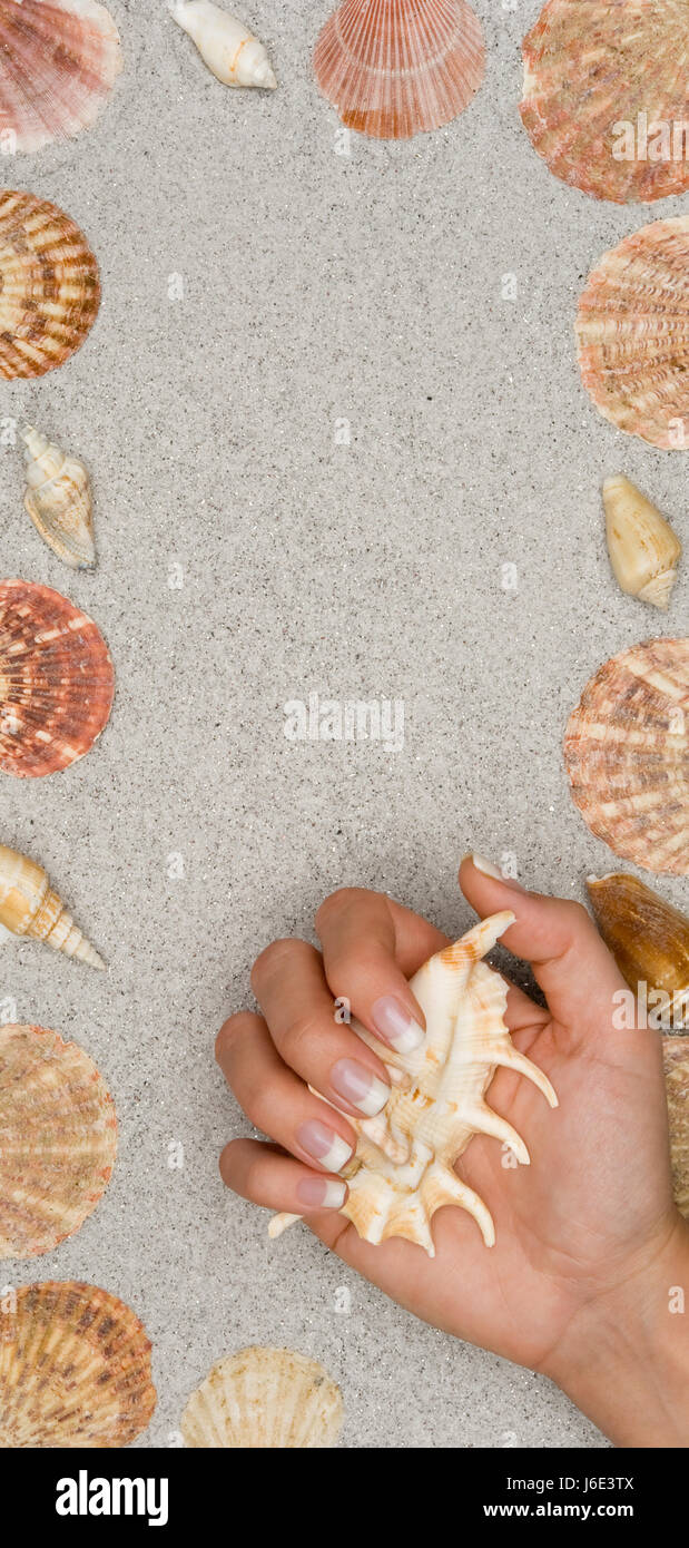 hand hands finger fingernails fingernail manicure woman hand hands ...