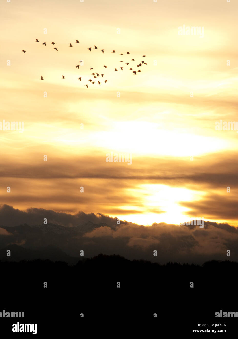 mountains sunset birds pyrenees landscape scenery countryside nature ...