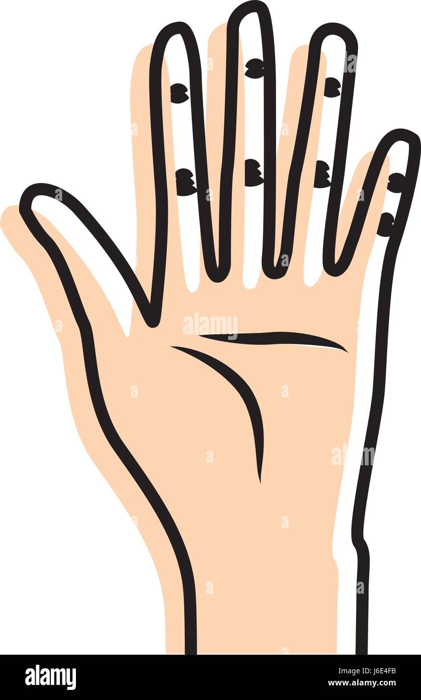 nice hand with all fingers and palm Stock Vector Image & Art - Alamy