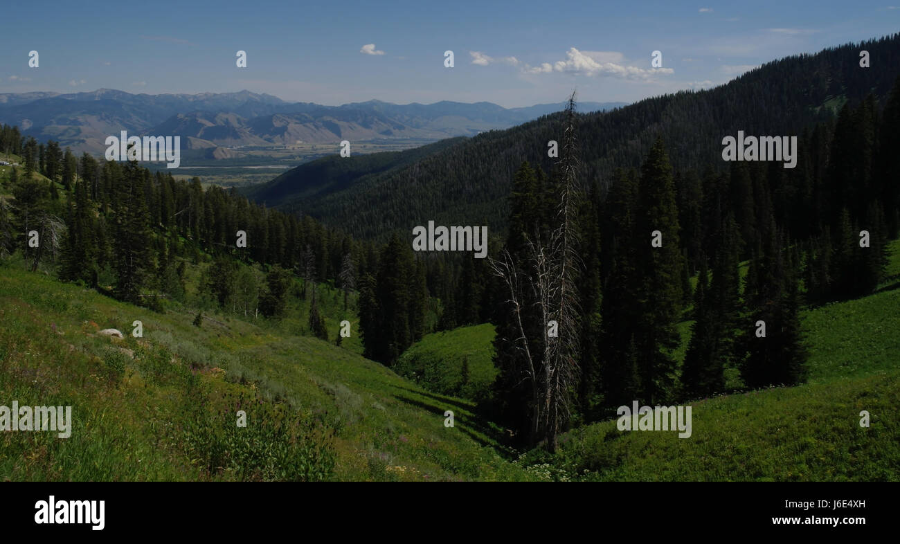 View east from Teton Pass down a grassy pine trees tributary valley ...