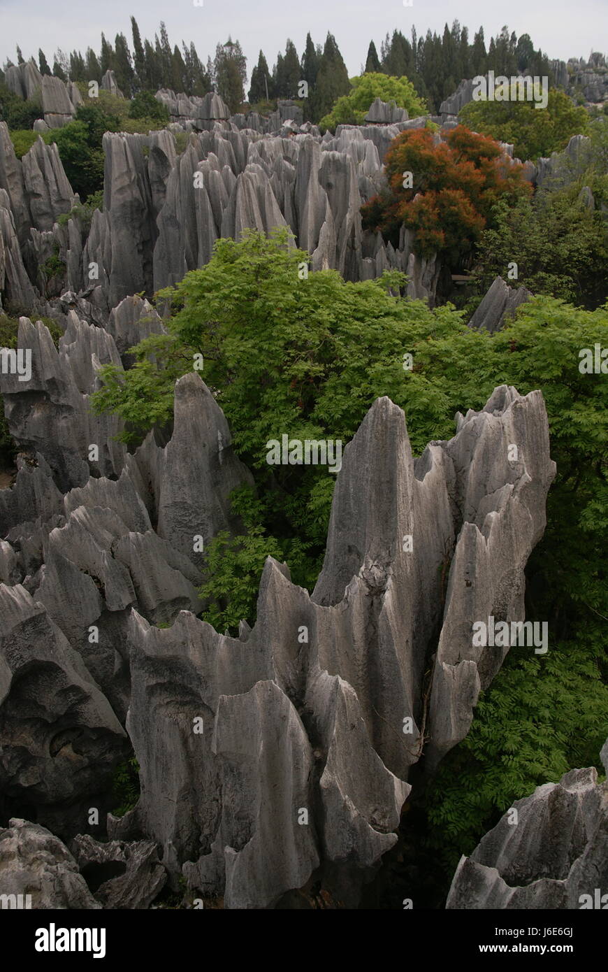 sight view outlook perspective vista panorama lookout forest china blue ...