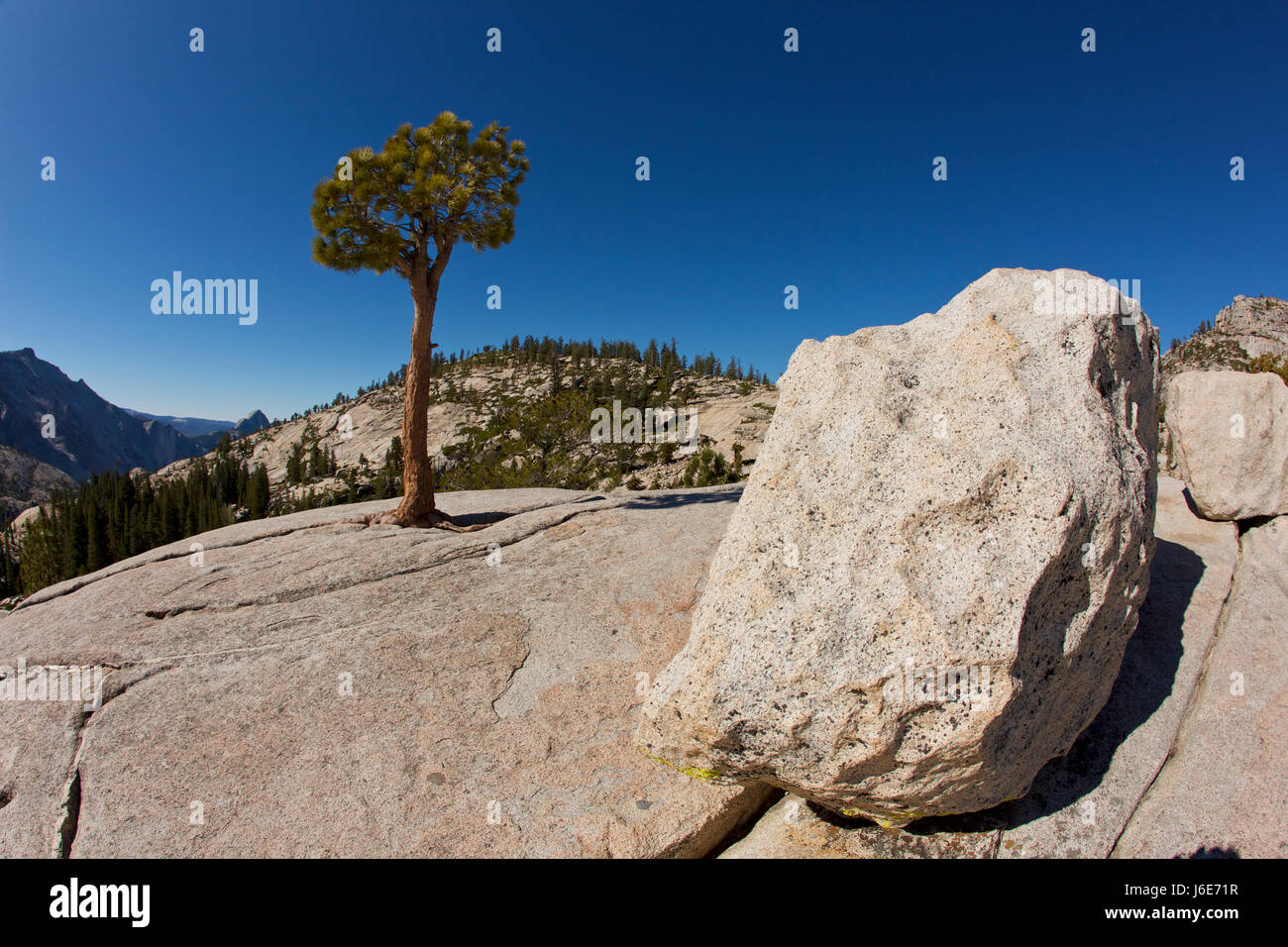 Olmsted Point, Tioga Pass, Yosemite NP, California Stock Photo - Alamy