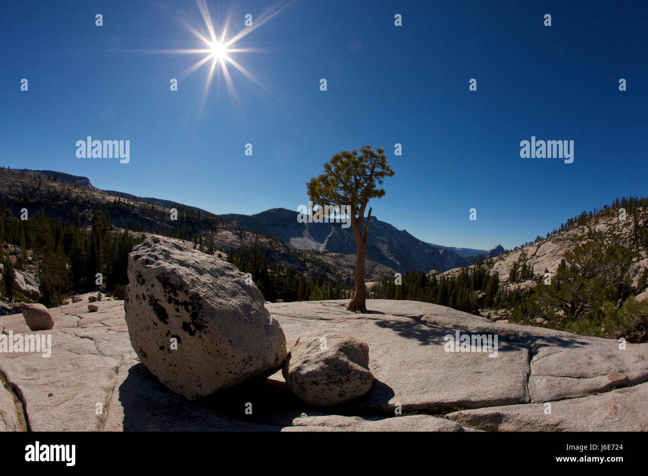 Olmsted Point, Tioga Pass, Yosemite NP, California Stock Photo - Alamy