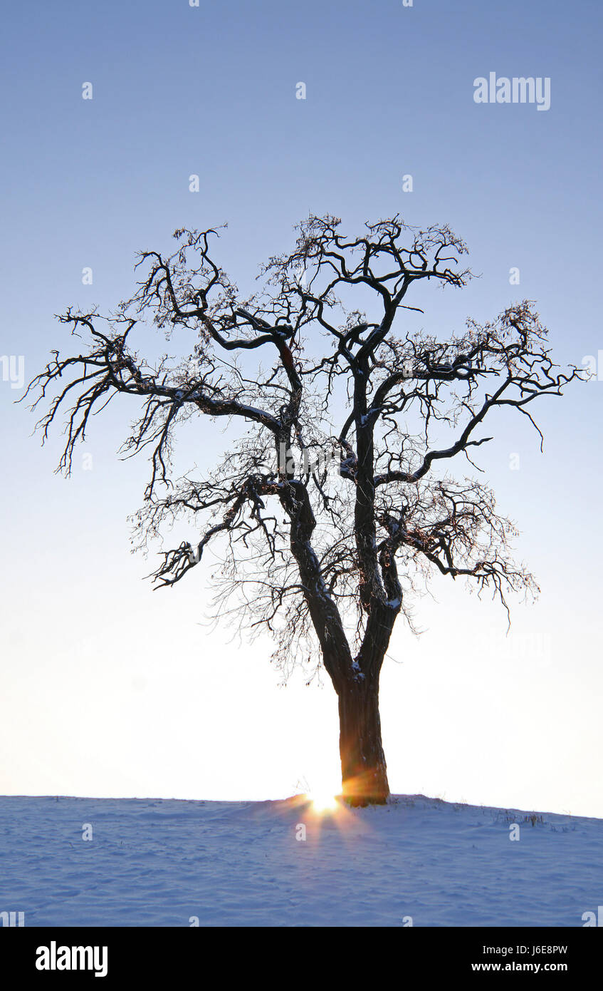 sun and ice Stock Photo - Alamy