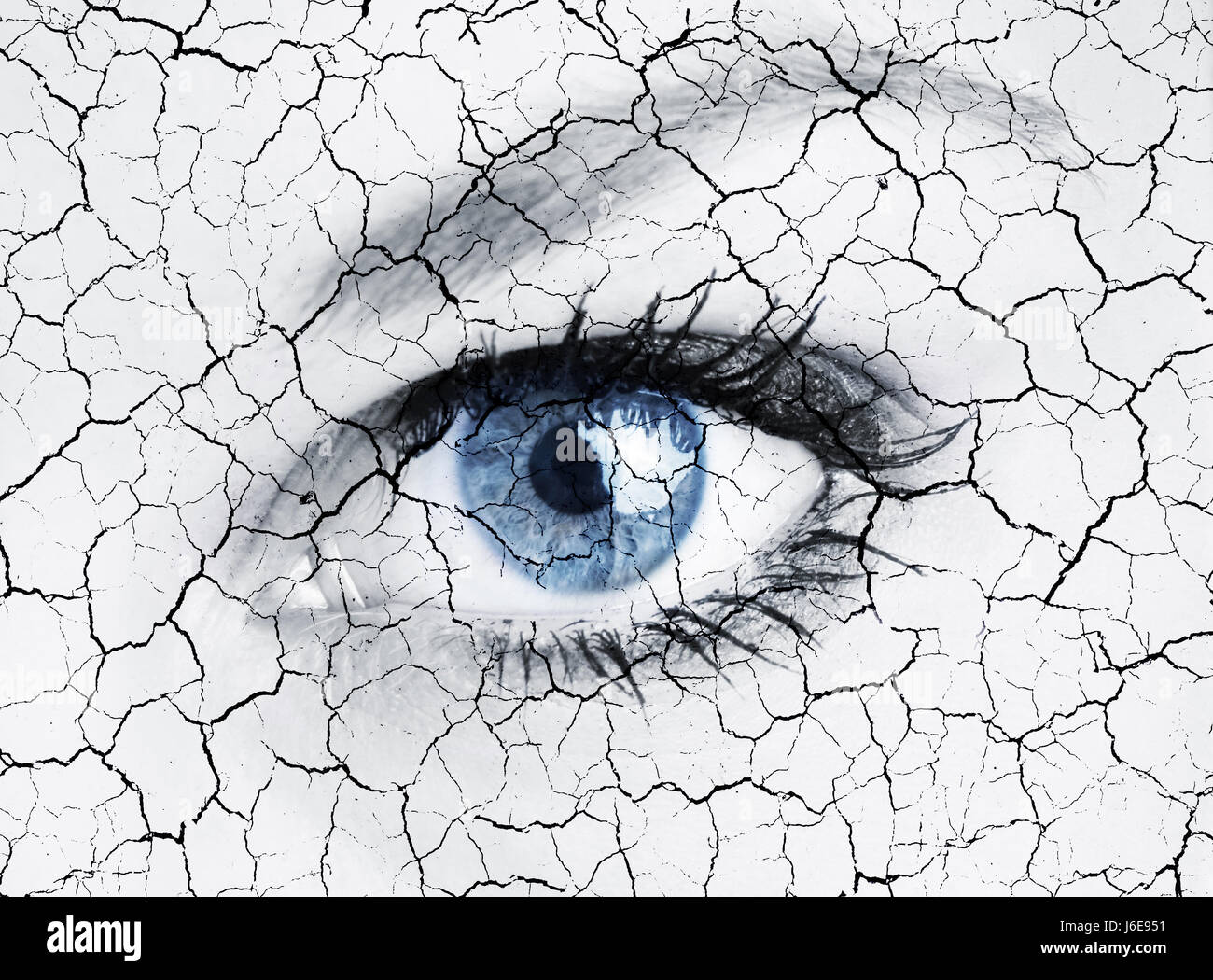 face eyes look glancing see view looking peeking looking at seared ...