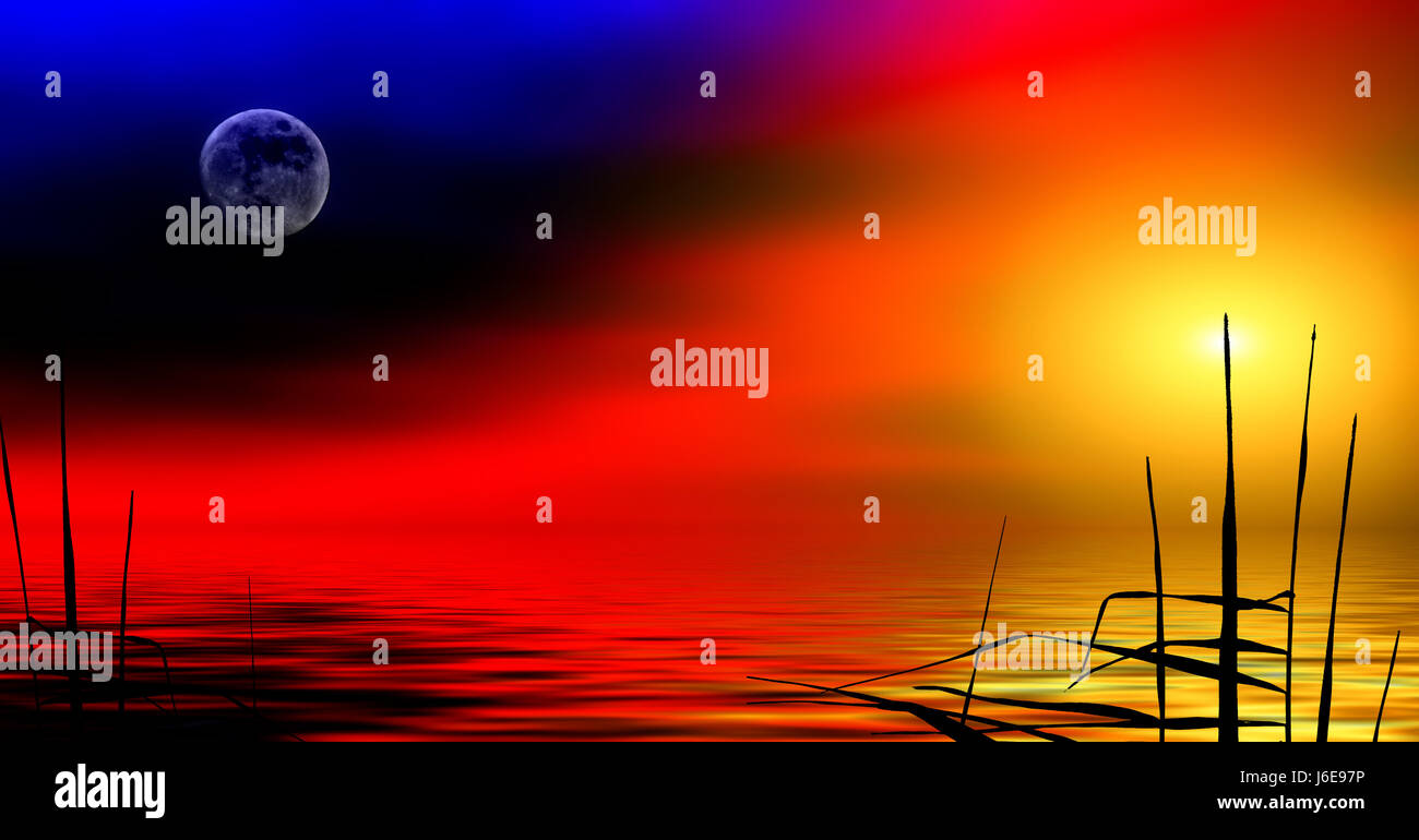 night nighttime sunrise reed moon fantasy radio silence quietness ...