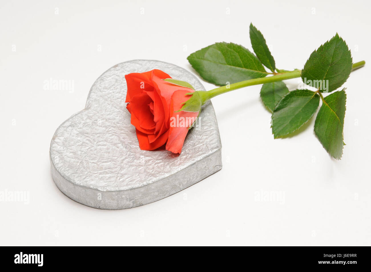 rose and heart Stock Photo - Alamy