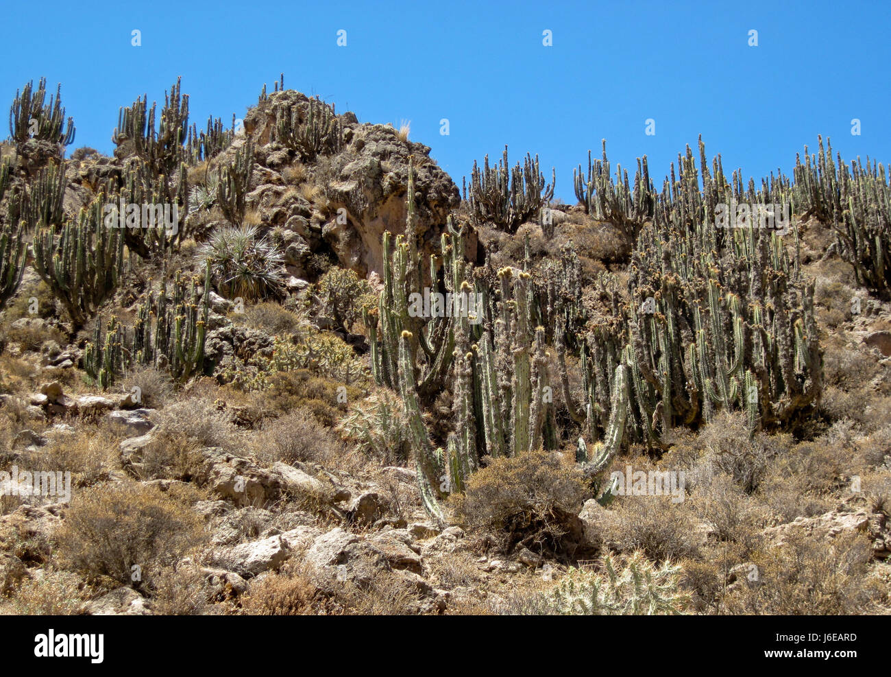 andes landscape in peru Stock Photo - Alamy
