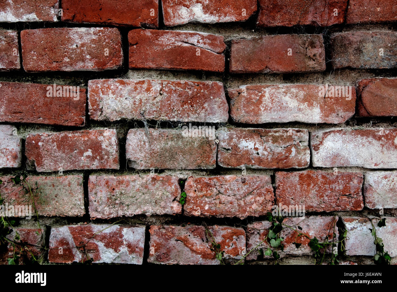 house building wall brick masonry bricks house building build macro ...