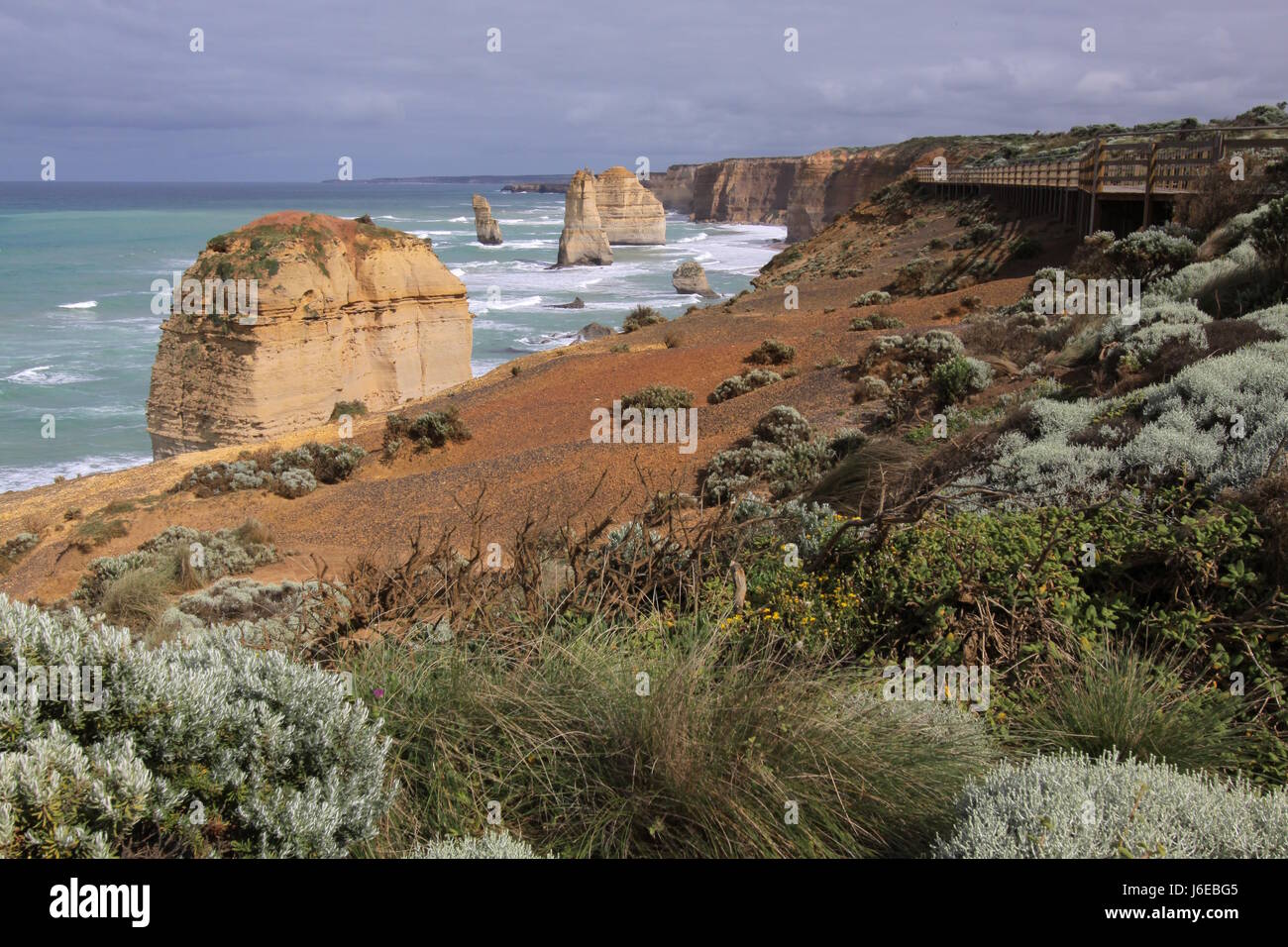 Apostles plant hi-res stock photography and images - Alamy