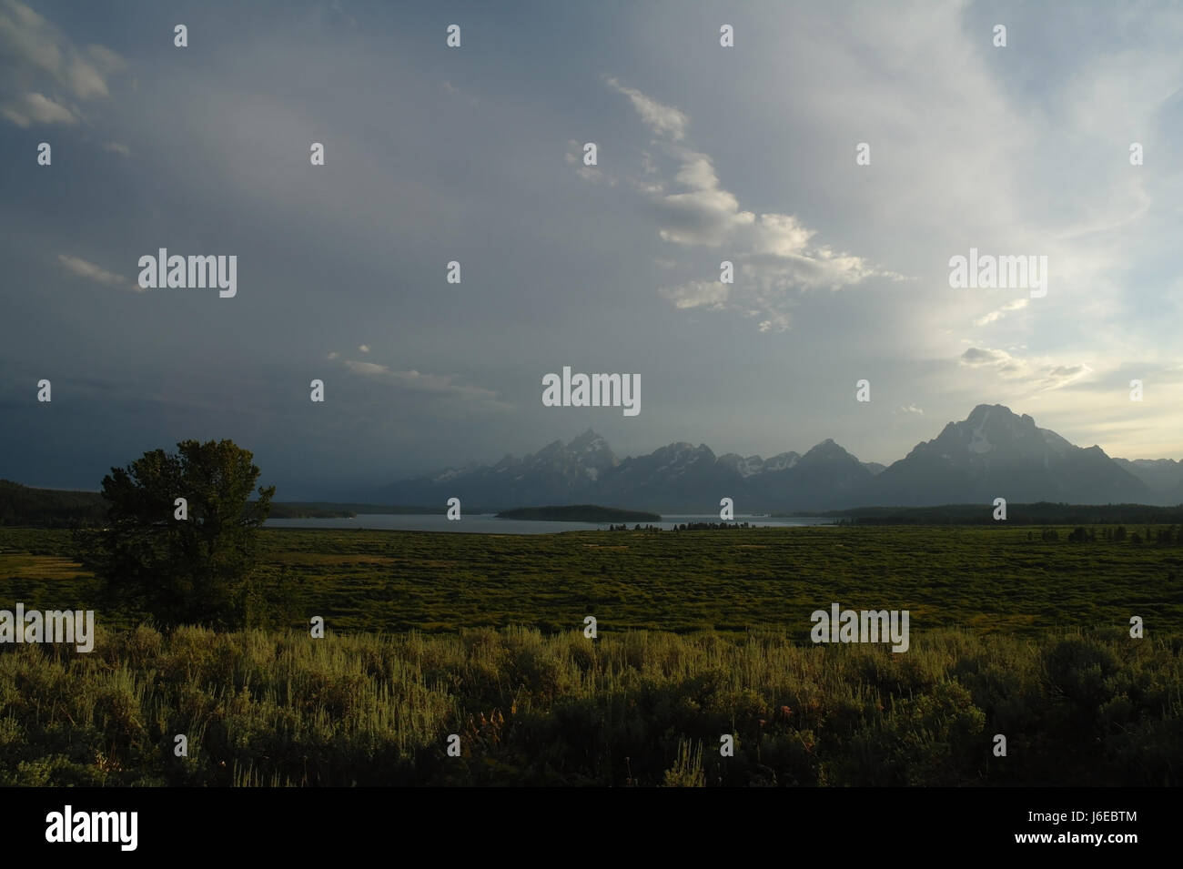 Summer evening view south of Jackson Lake Lodge Willow Flats Overlook ...