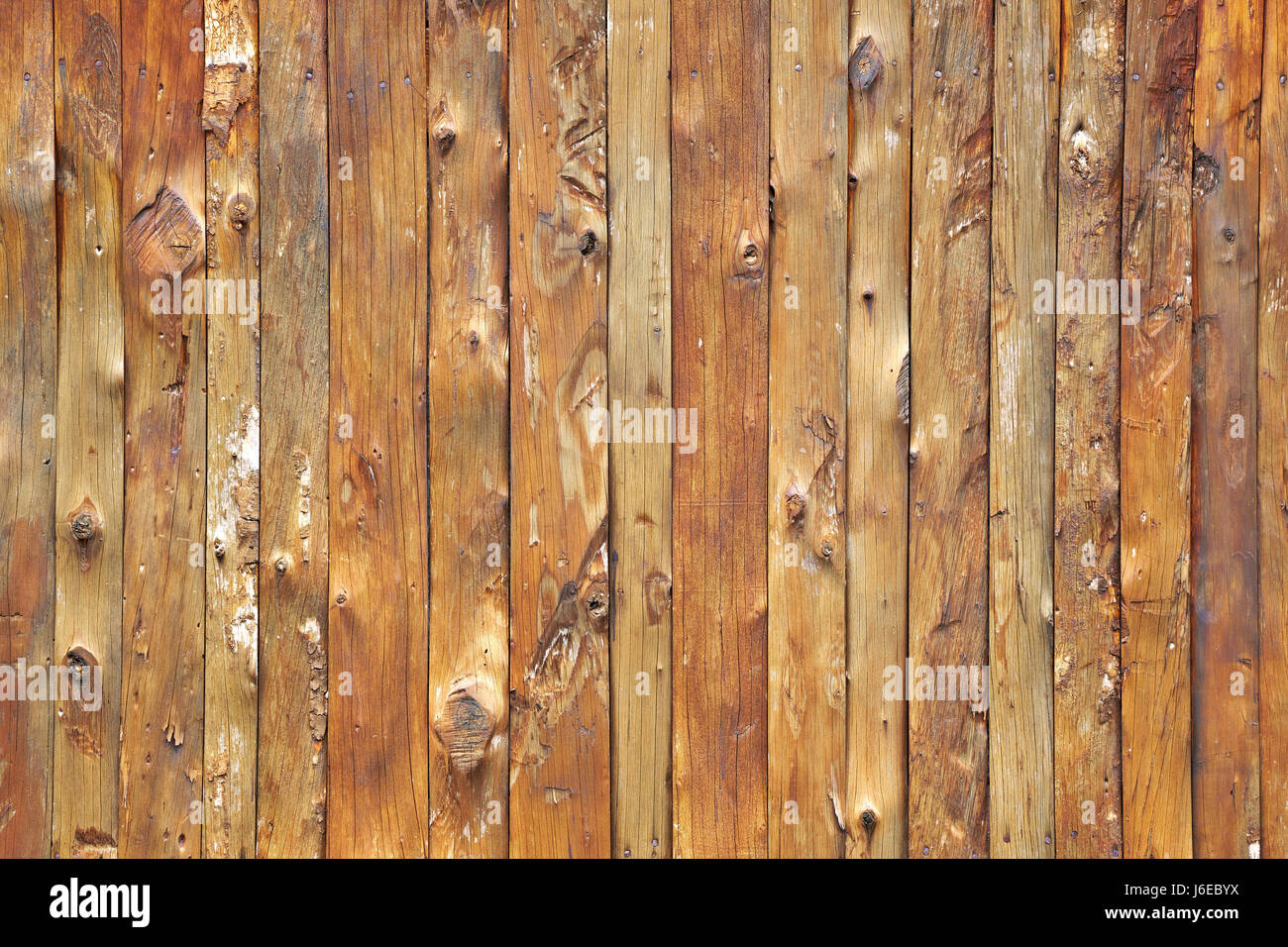 detail model design project concept plan draft wood trunk rough lines ...