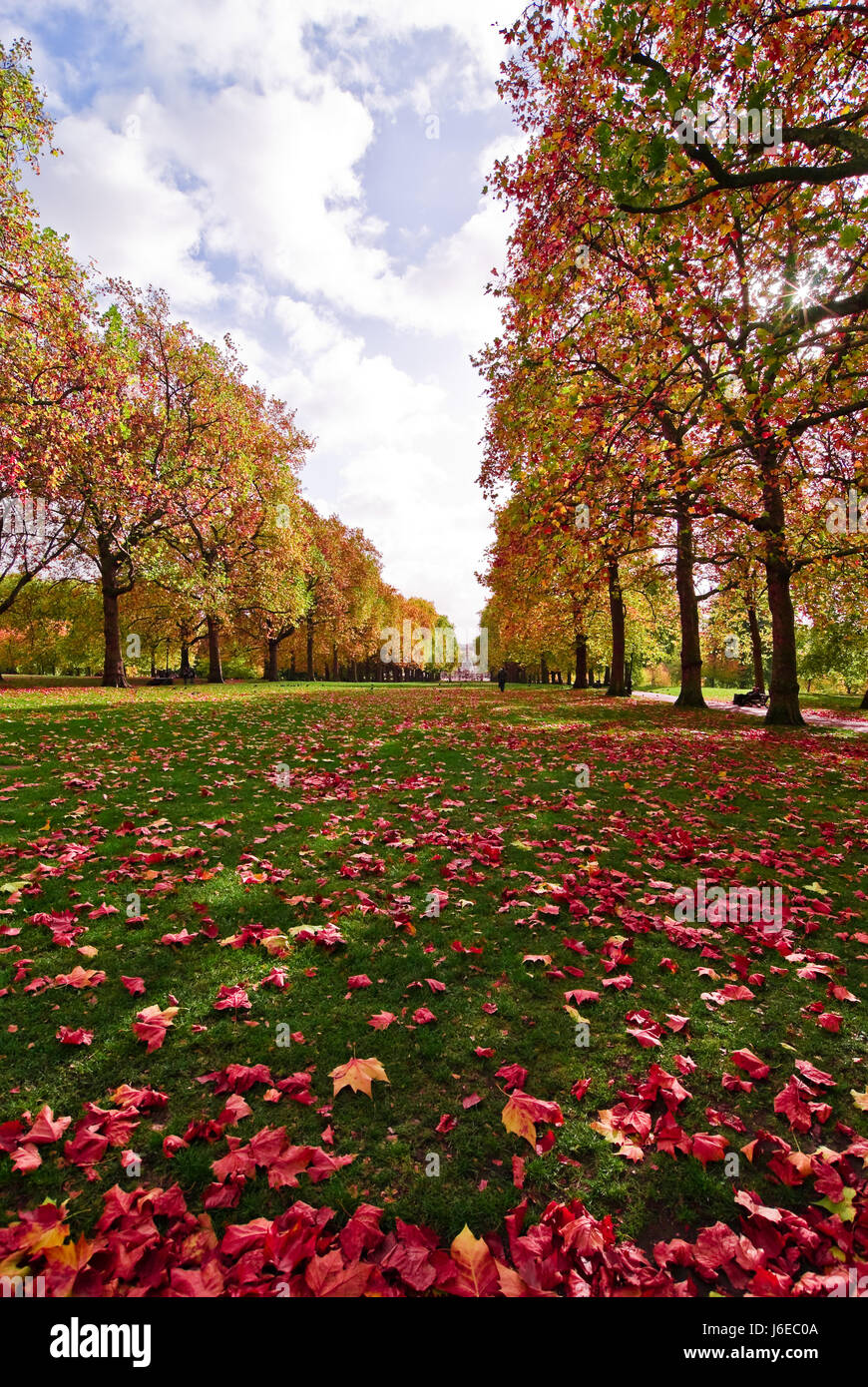 Fall london park hi-res stock photography and images - Alamy