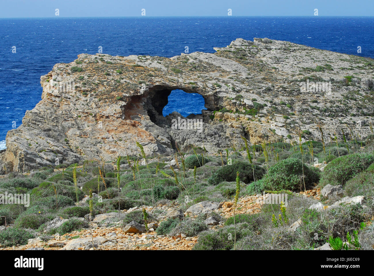 rock salt water sea ocean water isle island stone rock malta nature ...