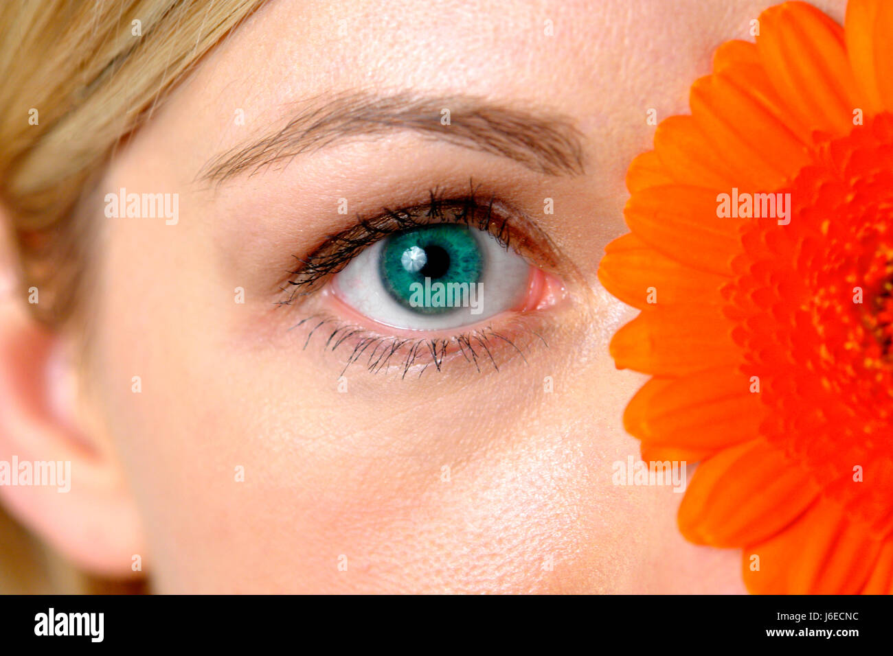 eye and flower Stock Photo - Alamy