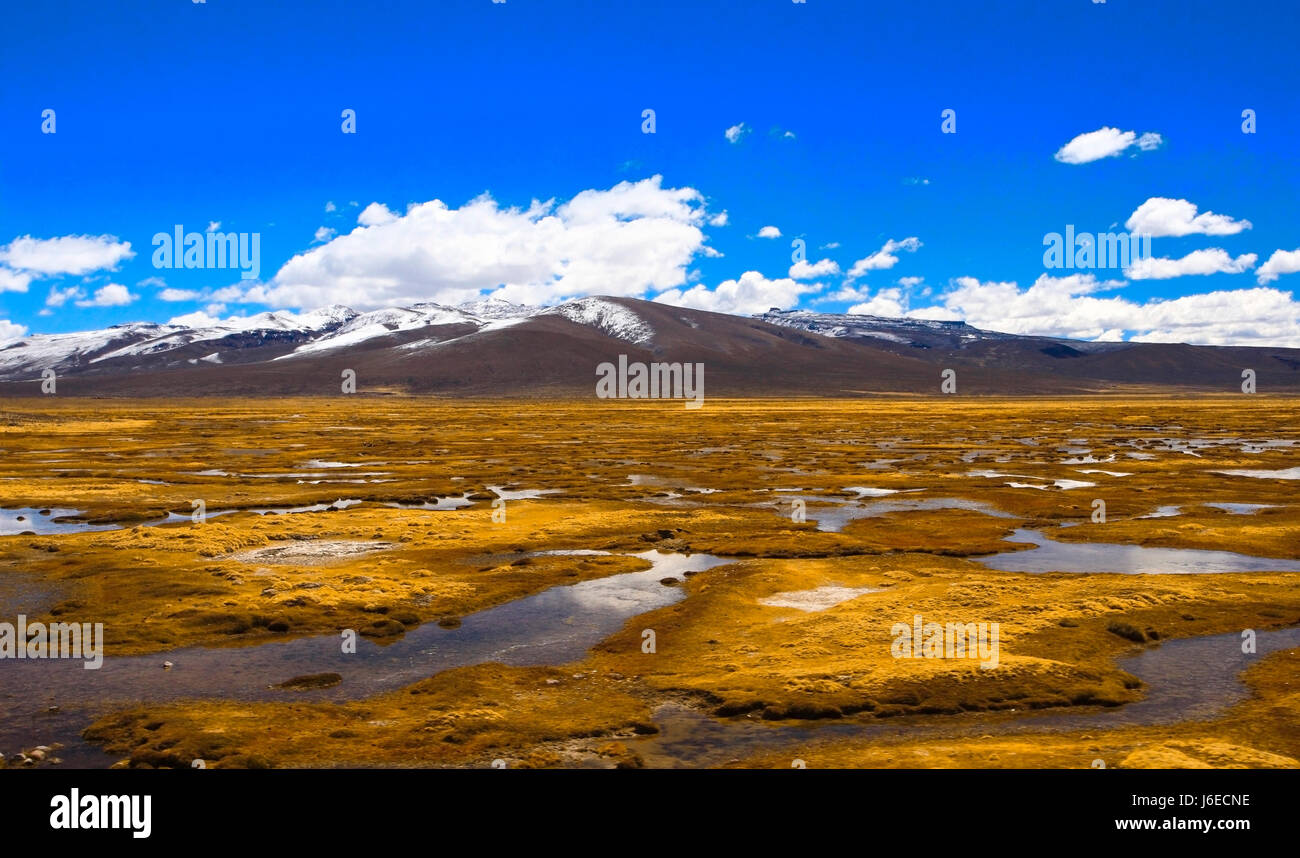 desert wasteland landscape scenery countryside nature bolivia scenic ...