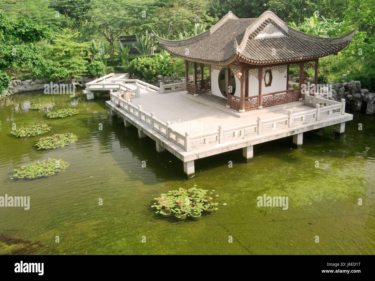 house building tree traditional chinese exterior beautiful beauteously ...