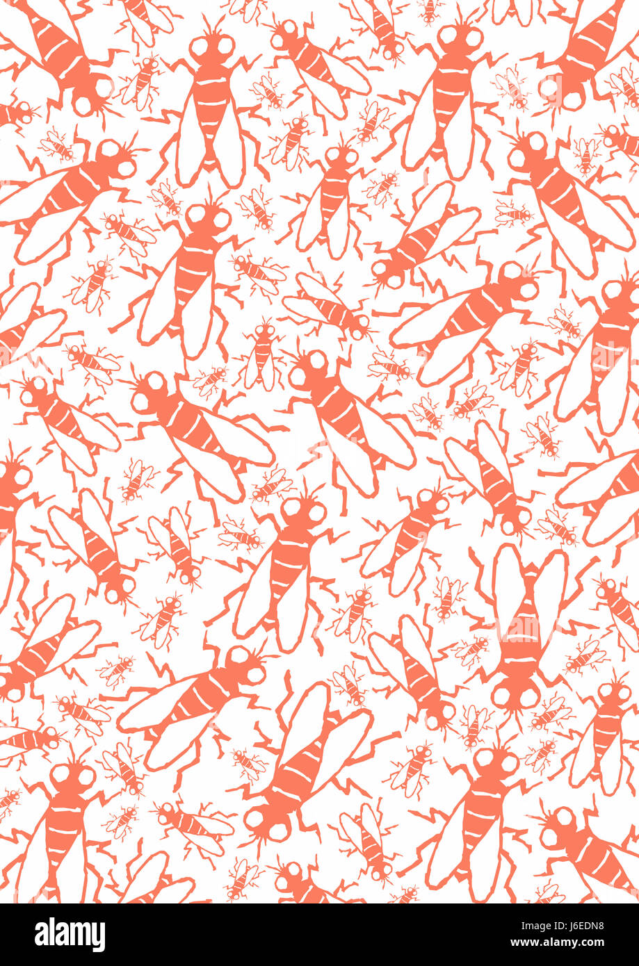 pattern of orang-colored fly Stock Photo - Alamy