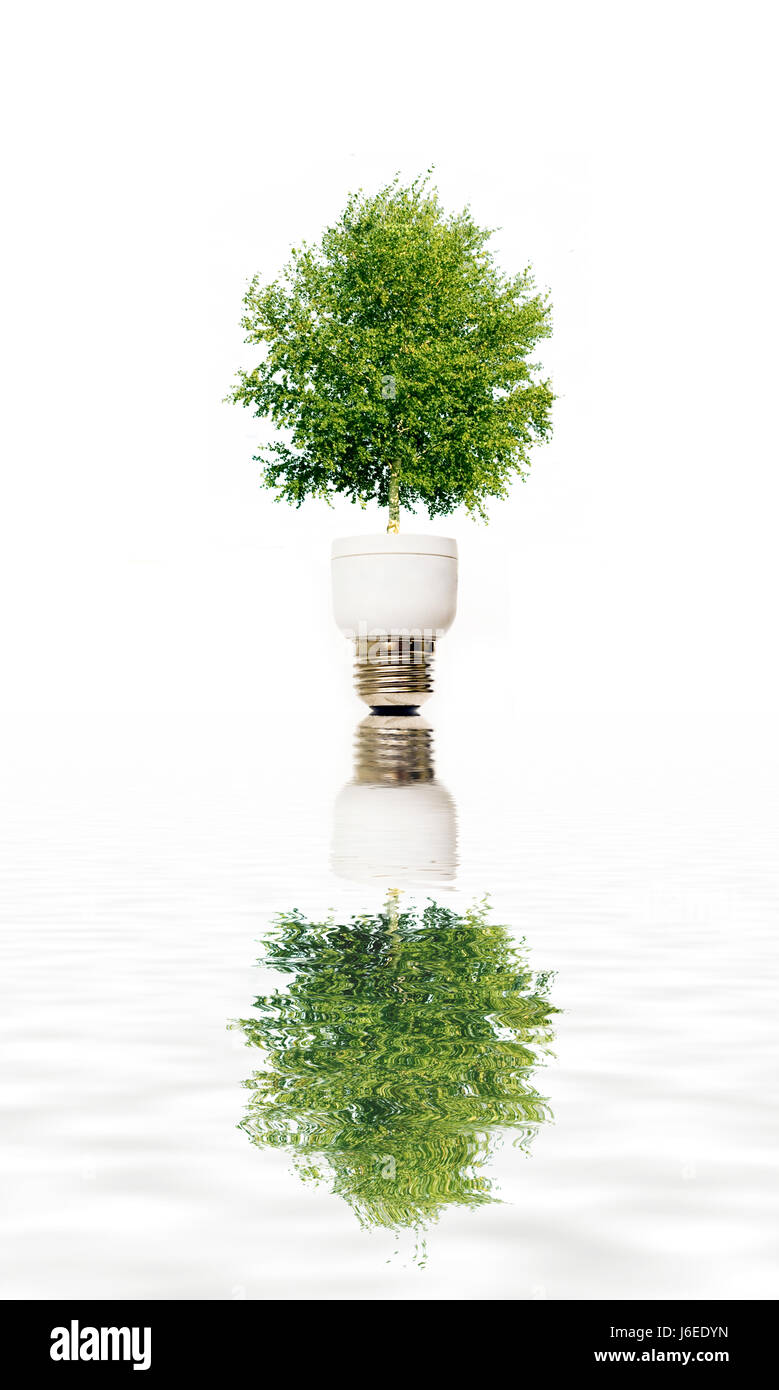 eco tree energy power electricity electric power pear bulb lawn green ...