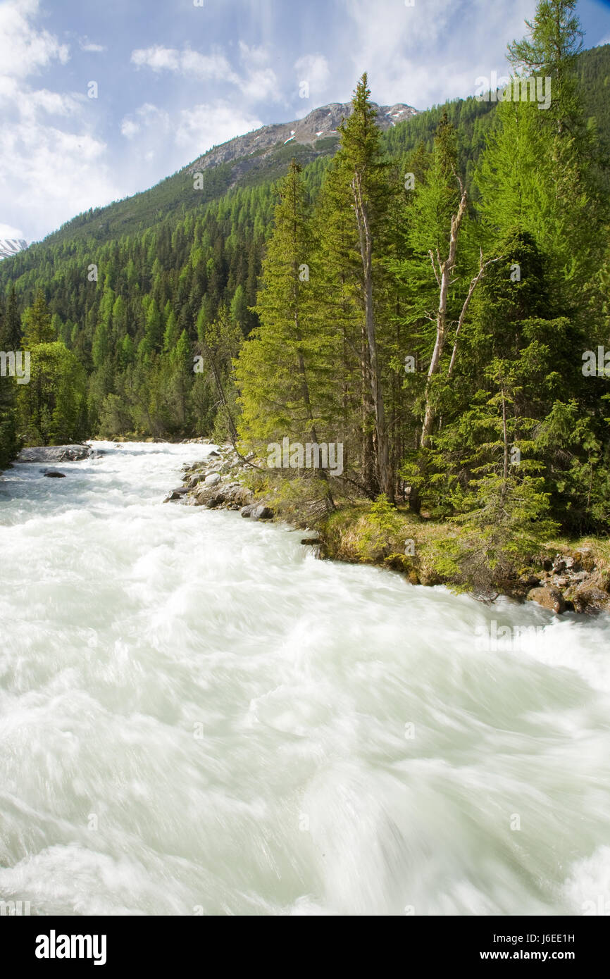 Riverine forest hi-res stock photography and images - Alamy