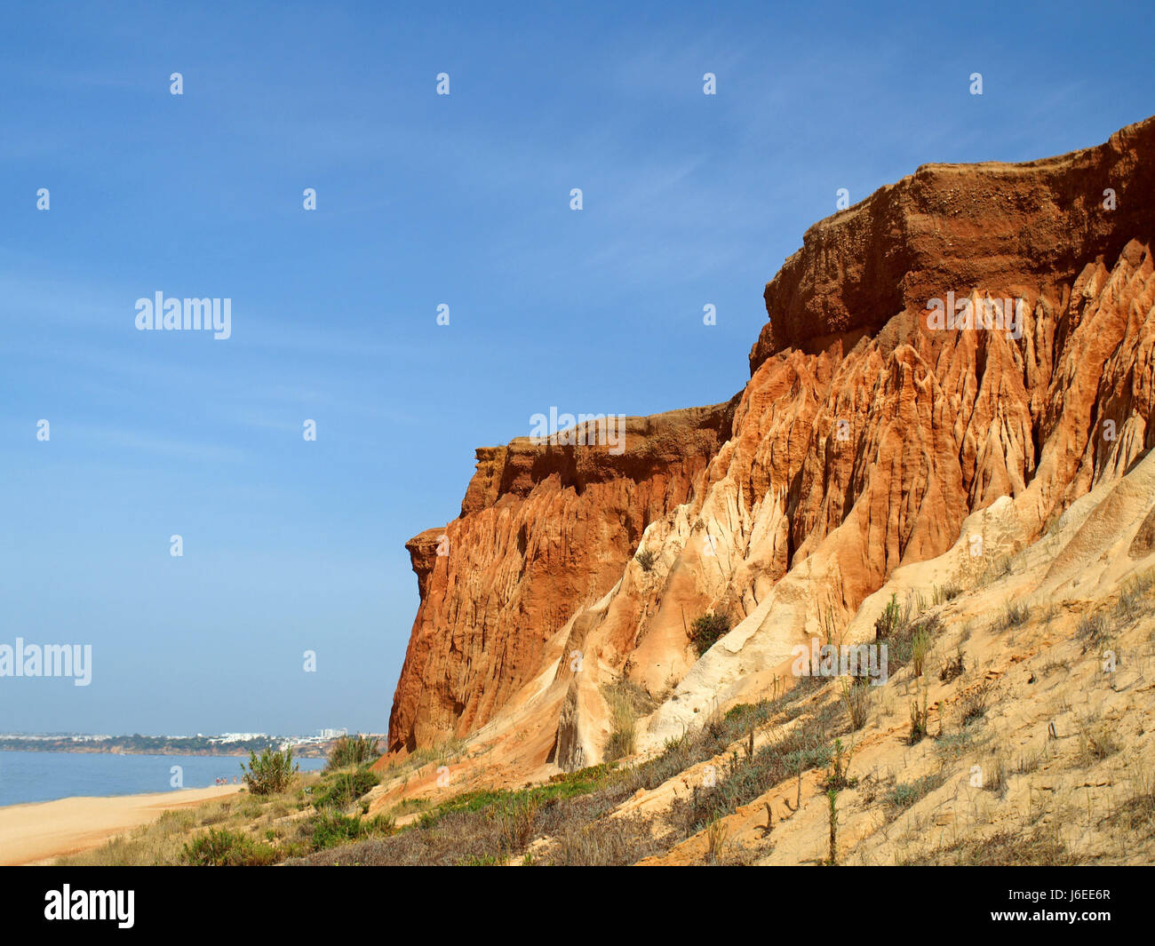 coast in albufeira in portugal,algarve Stock Photo - Alamy