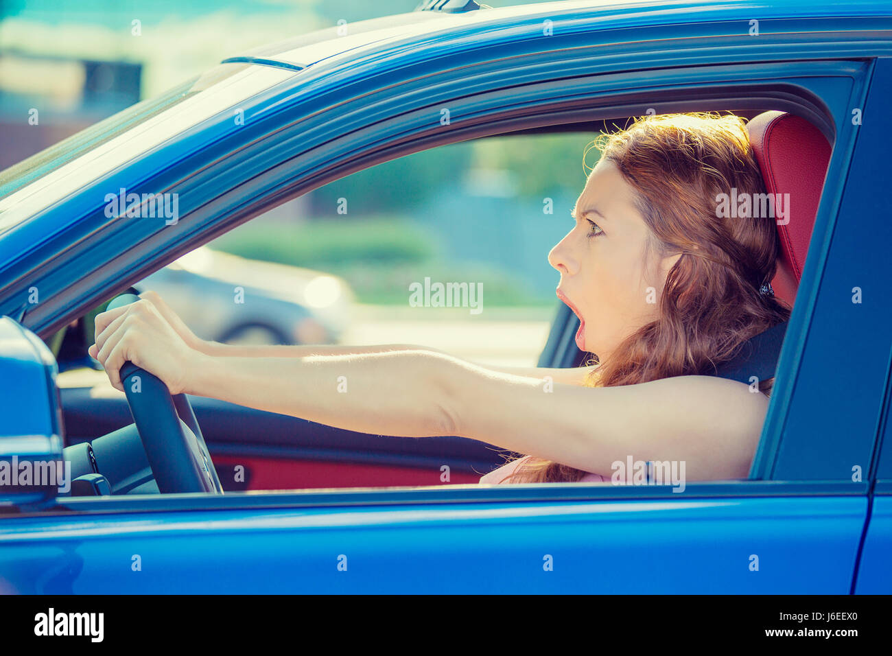 Dear in headlights. Fright face woman driving car wide open mouth eyes ...
